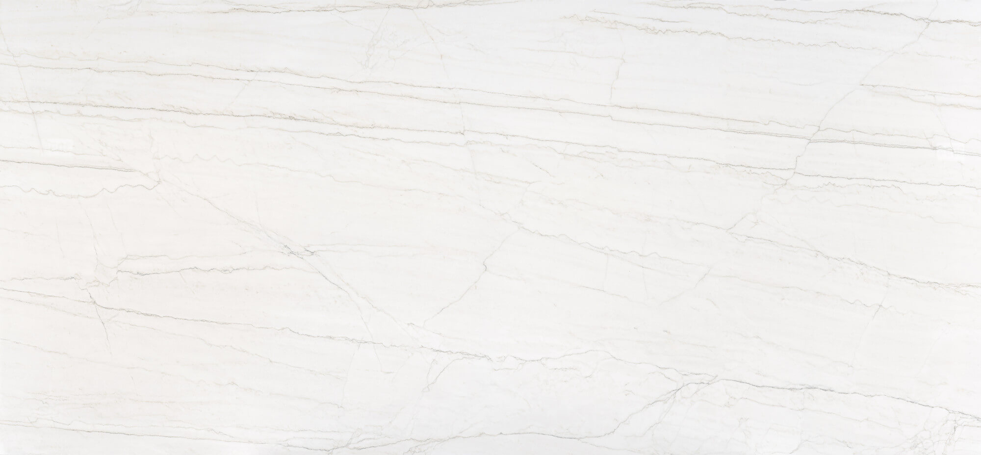 Neural KC - SolidTec