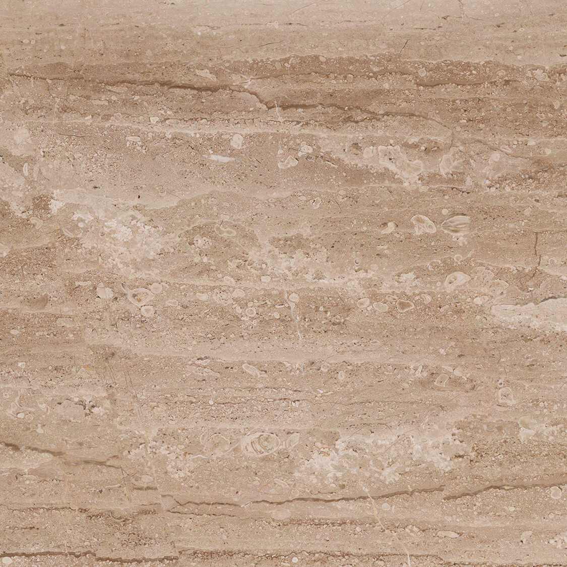 Daino Reale - SolidTec